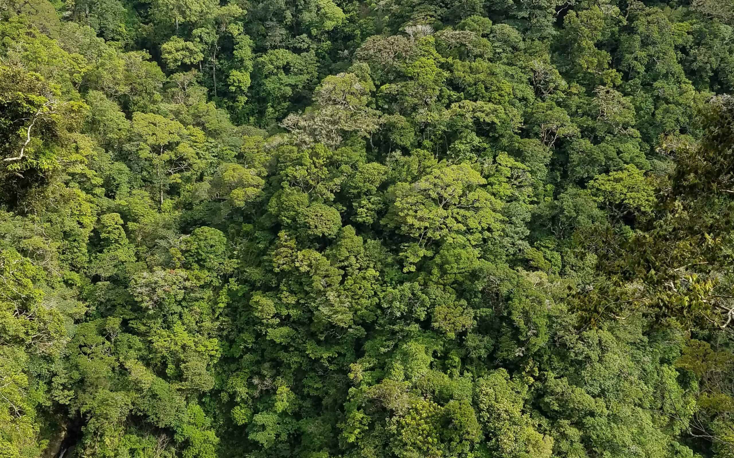 About - Wild Heritage