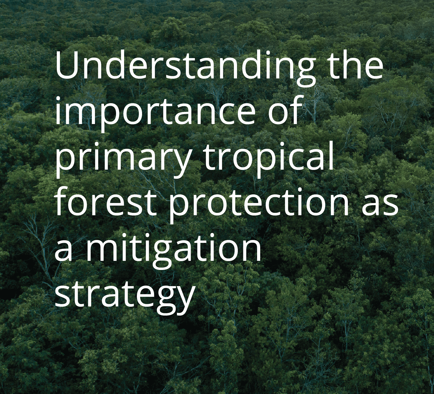 Understanding the Importance of Primary Tropical Forest Protection as a ...