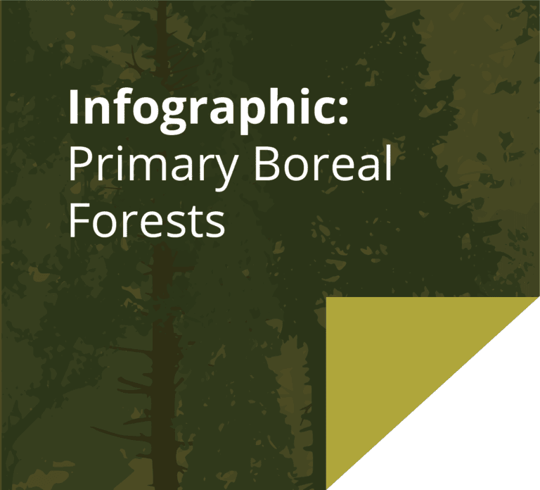 Infographic: Primary Boreal Forests - Wild Heritage