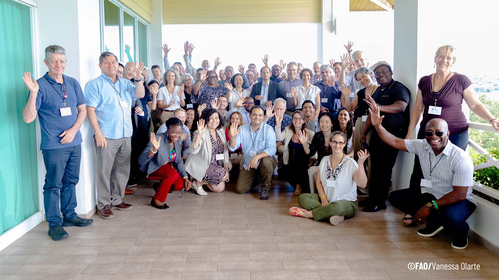 GEF Workshop a Big Step Forward for Primary Forest Policy - Wild Heritage